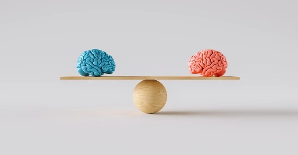 Brain Myths and Misunderstandings: Brain Size and Use – neuremind